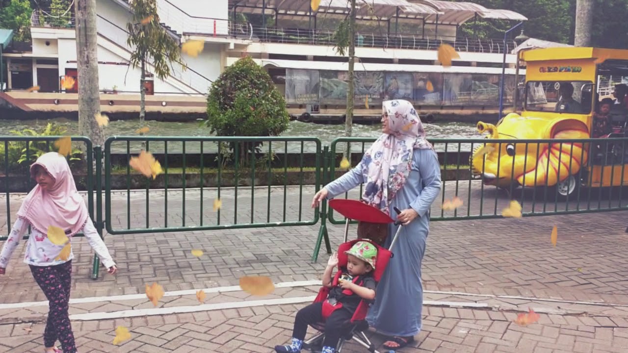 Zoo love story - YouTube