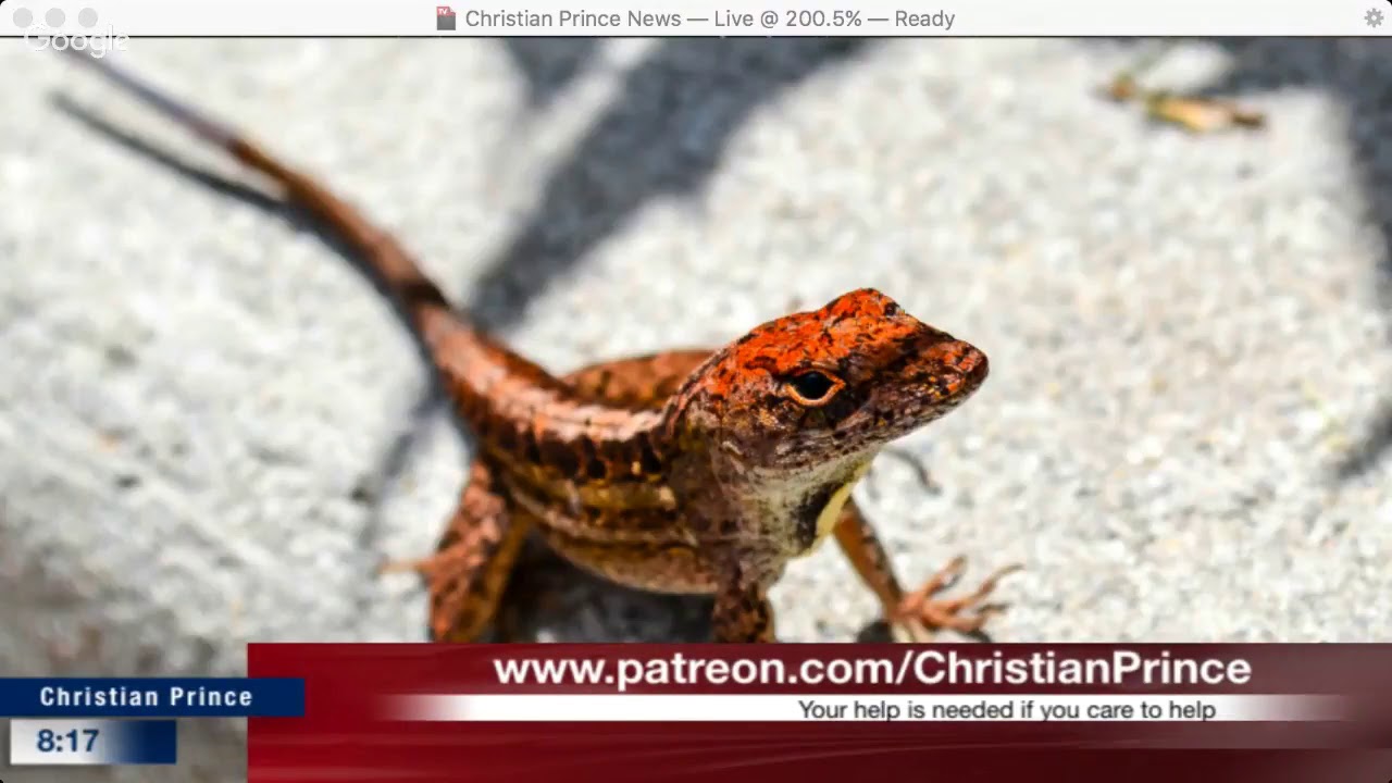 The Lizard is the enemy of Allah story explained by the prophet saw ...