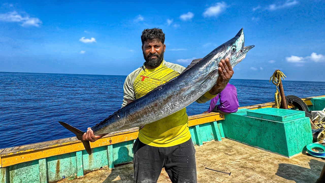 Using Live Prey fish To catch Big Fishes | The Ultimate fishing tactic ...