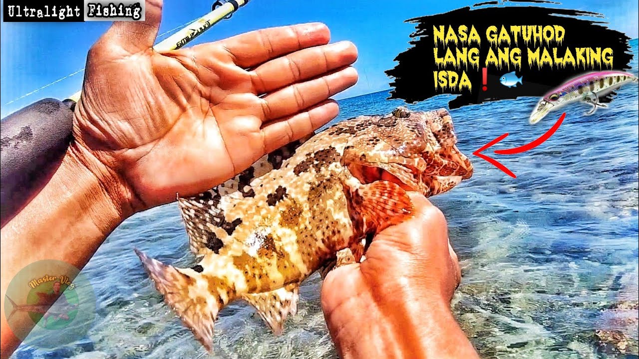 VLOG 38 2ND DAY FISHING ,HARVEST MODE PADIN - YouTube