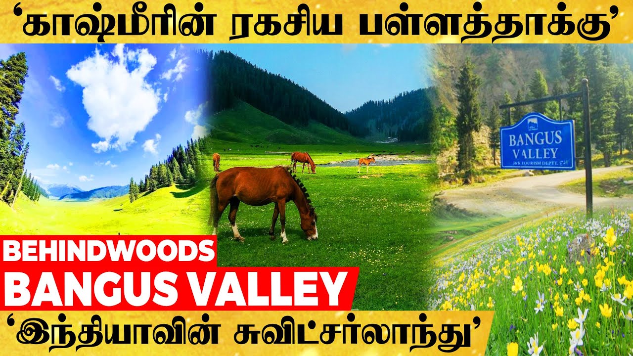 காஷ்மீரின் ரகசிய பள்ளத்தாக்கு.. 'இந்தியாவின் சுவிட்சர்லாந்து'| bangus ...