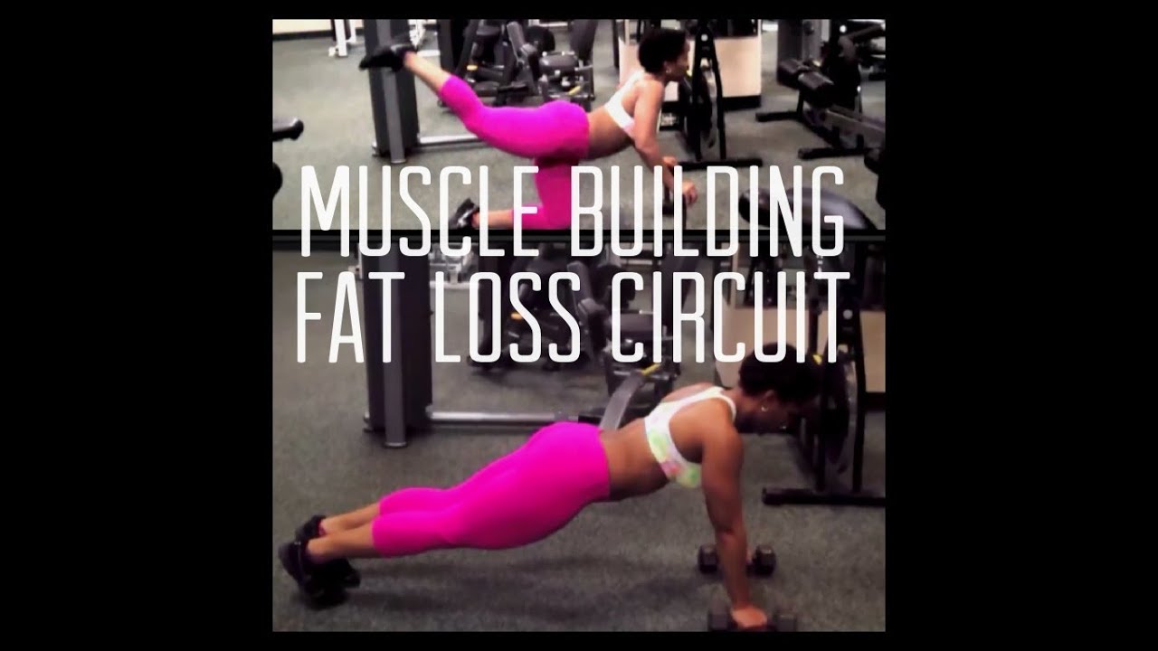 FAT BLASTING MUSCLE BUILDING CIRCUIT WORKOUT - YouTube
