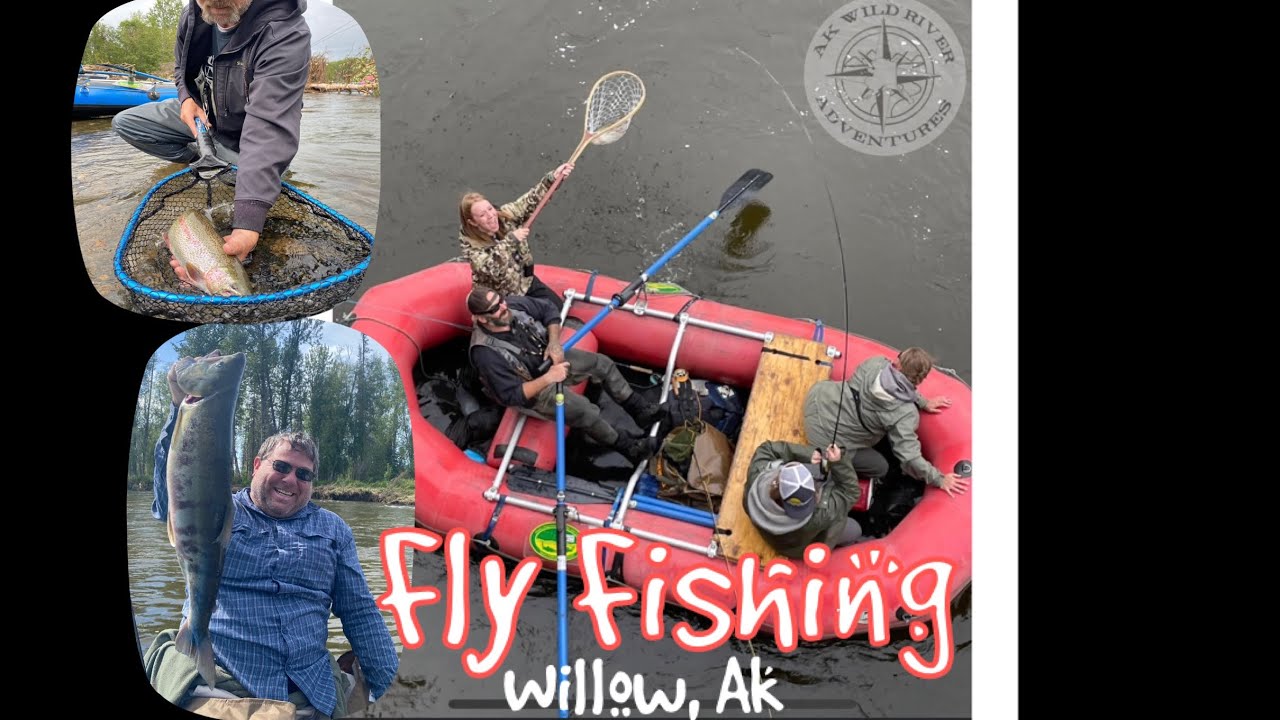 Willow Creek, Alaska fly fishing Photo-Dump August 2022. #flyfishing # ...