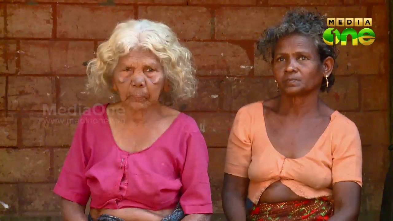 New extinction threat to Aranadan tribes - YouTube