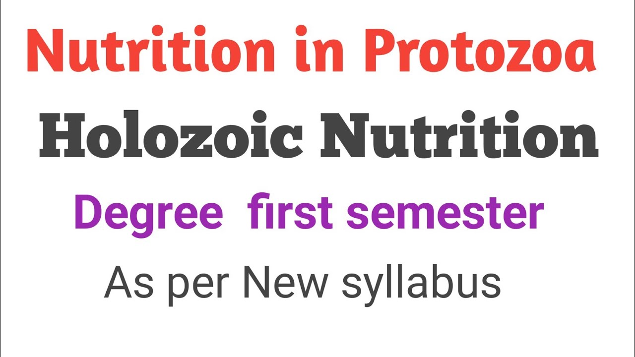 Nutrition in Protozoa/Holozoic Nutrition - YouTube