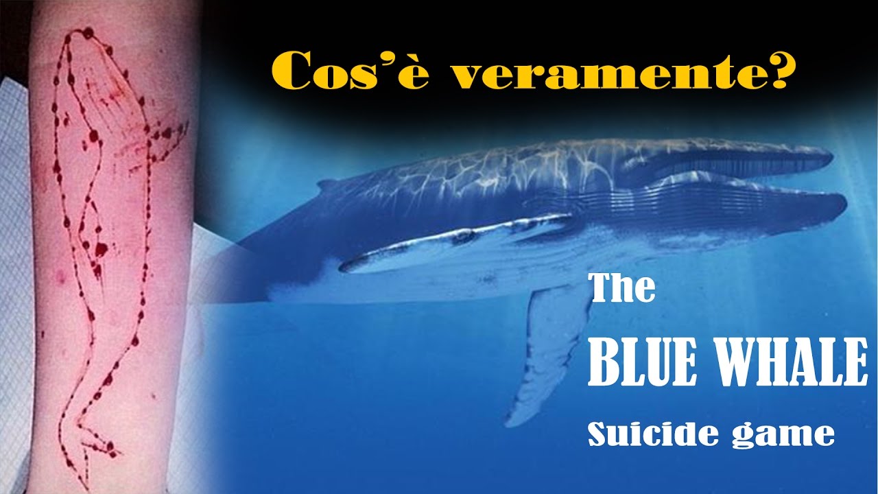 Blue Whale - Cos'è in realtà? - YouTube