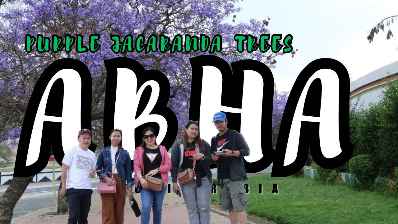 Purple Jacaranda Trees in Abha, Saudi Arabia #dhongzkie - YouTube