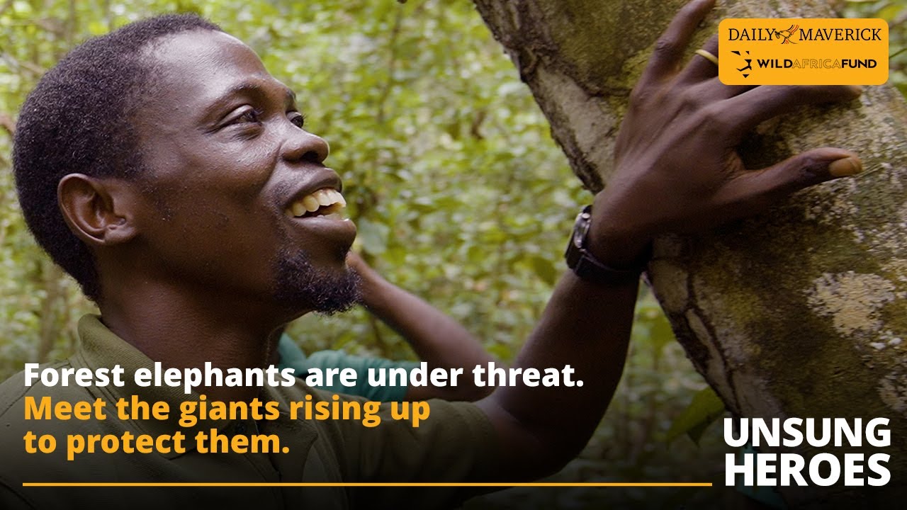 UNSUNG HEROES | Emmanuel Olabode - YouTube