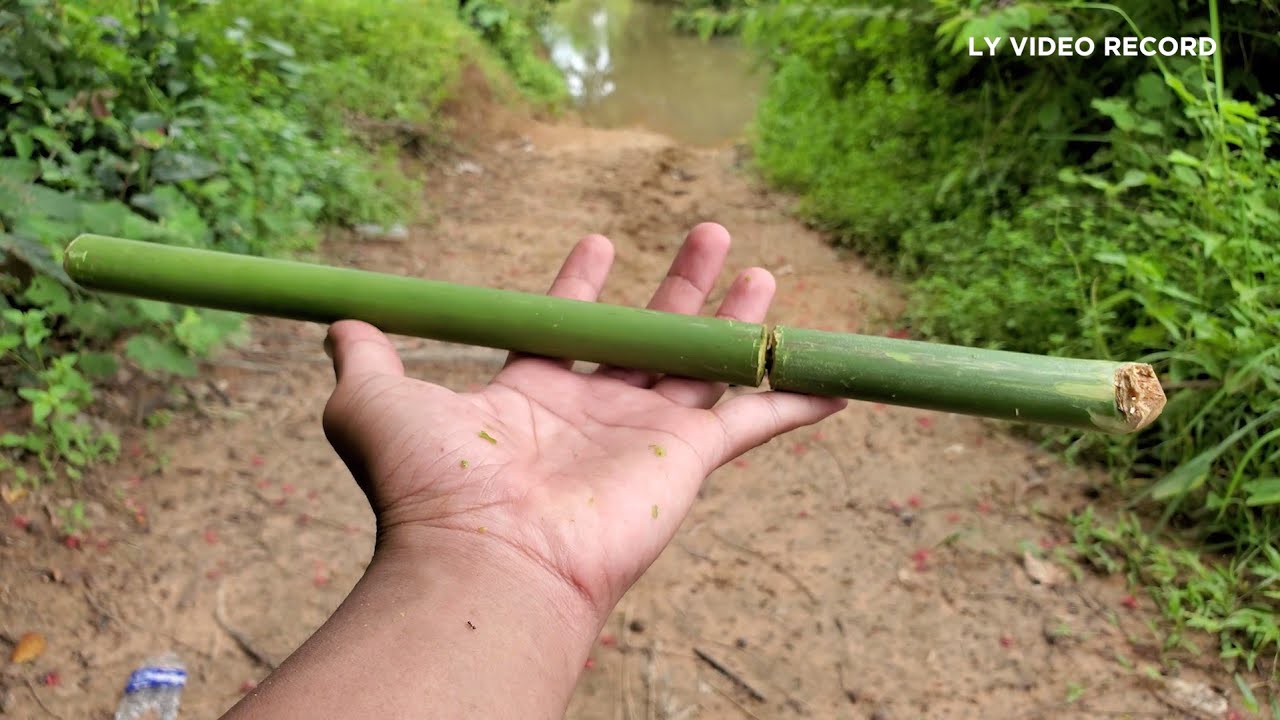 Making Bamboo Gun! Traditional Home made - Nature Sound Bird -Primitive ...