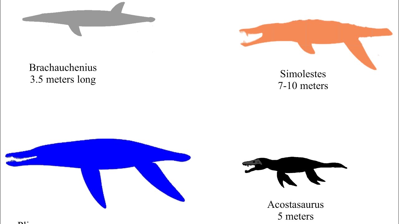 Speculative Pliosaur Evolution Pilot Episode - YouTube