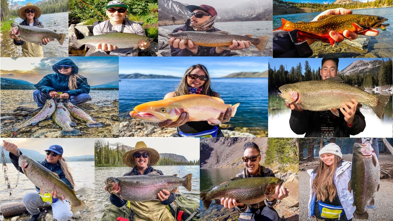 Calling All Fishing Enthusiasts: Dive into the World of Explore Natures ...