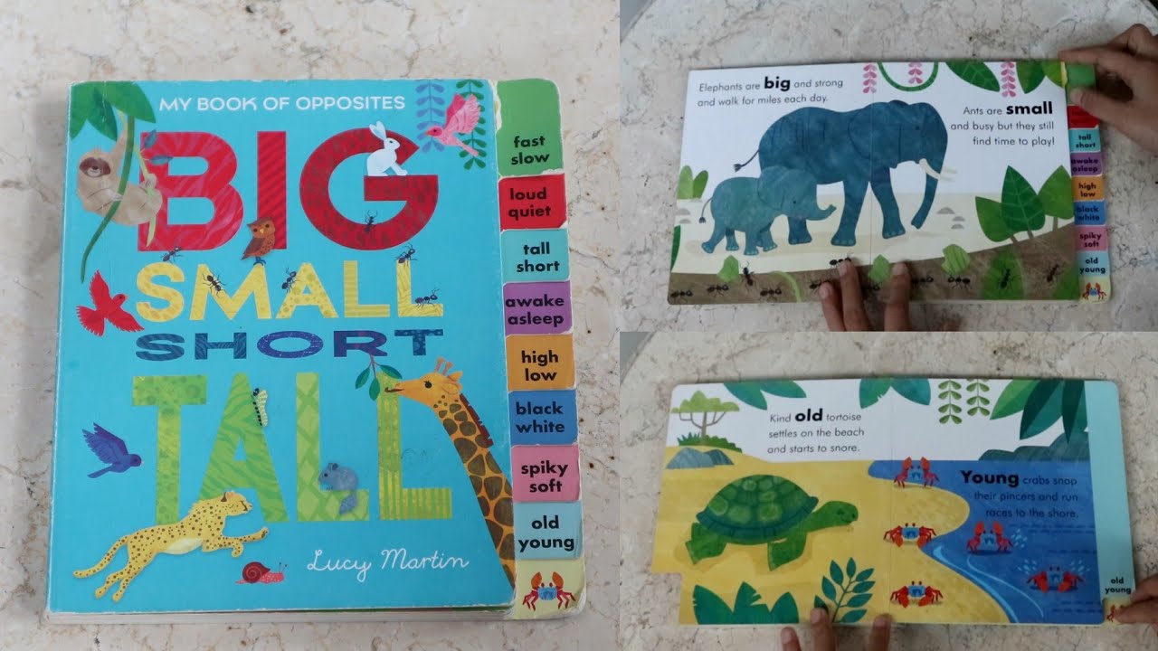 BIG SMALL SHORT TALL | Children's Book | BBW - YouTube