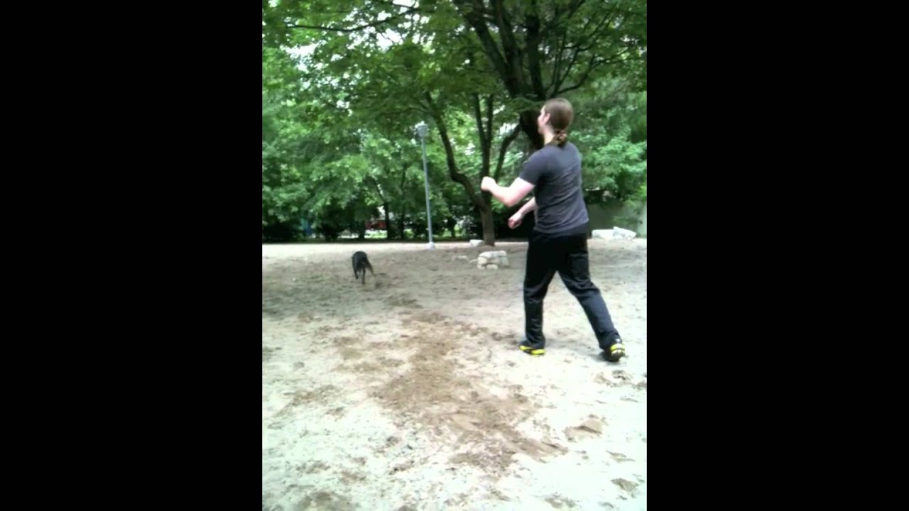 Jack Daniels Dog - YouTube