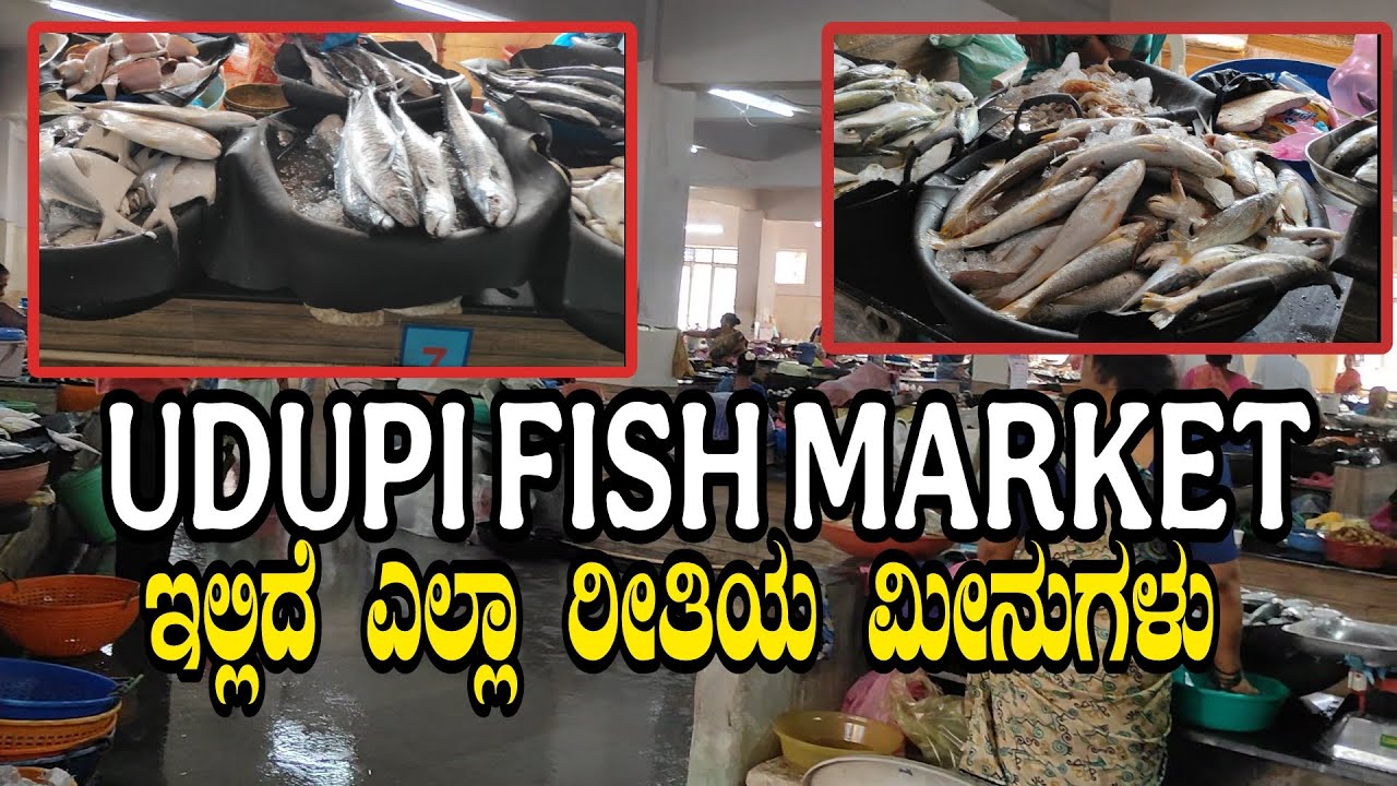 ಇಲ್ಲಿದೆ ವಿಧ ವಿಧದ ಮೀನುಗಳು | udupi fish market | 🦈🐟🦦🐠 - YouTube