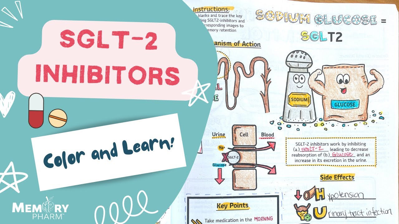 SGLT-2 Inhibitors Made Easy (Mnemonics, Mechanism of Action, Side Effects, Counseling) - YouTube