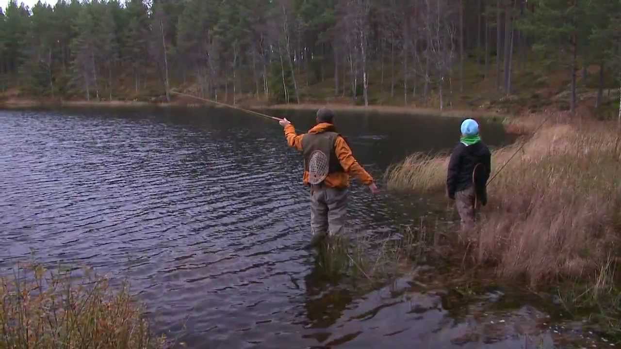 Stilla vatten (Trailer, Swedish) - YouTube