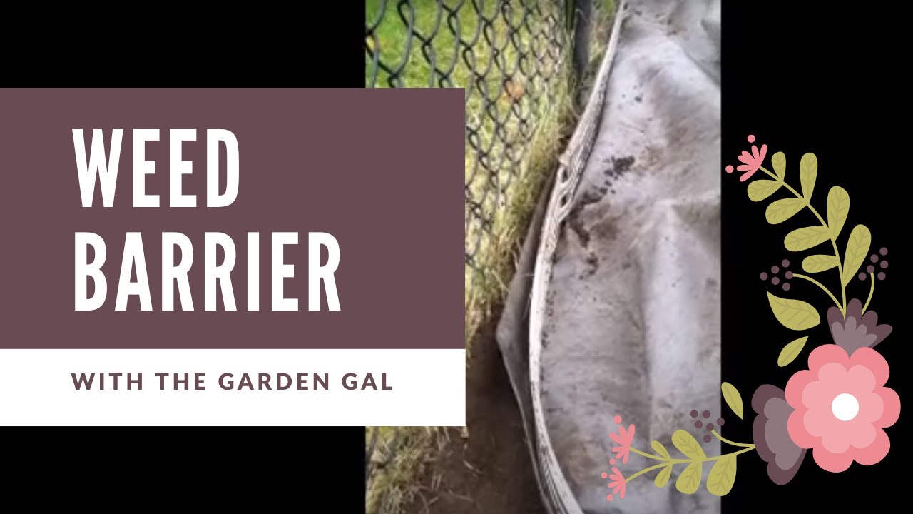 How to stop grass from growing in your garden bed? | Weed Barrier with ...