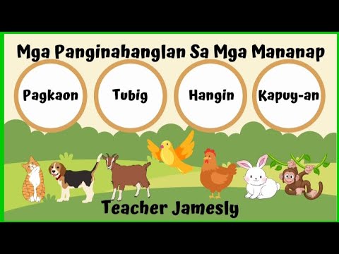 MGA PANGINAHANGLAN SA MGA MANANAP - NEEDS OF ANIMALS - YouTube