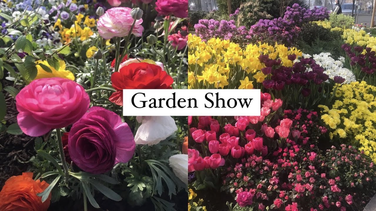 Spring Garden Show Walk Through! Daffodils, Ranunculus, and More! - YouTube