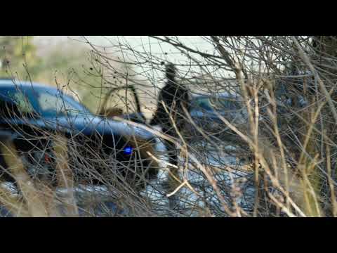 Backtrace - Action HOLLYWOOD Thriller - 2019 - Matthew Modine - Ryan ...