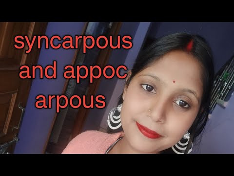 syncarpous and appocarpous || sexual reproduction in flowering plant ...