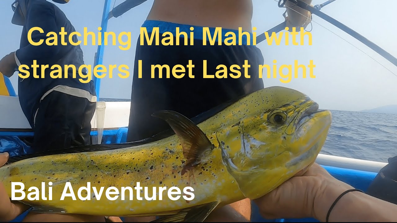 Catching Mahi Mahi with Strangers I met last night - YouTube