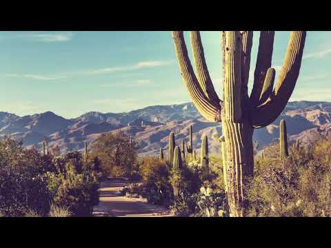 Hazy Summer Vibes II Hermanos Gutierrez Playlist