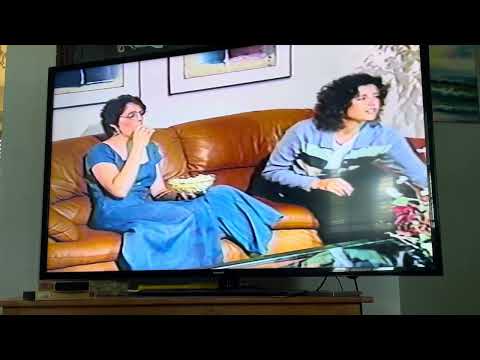 guardian leather care 1996