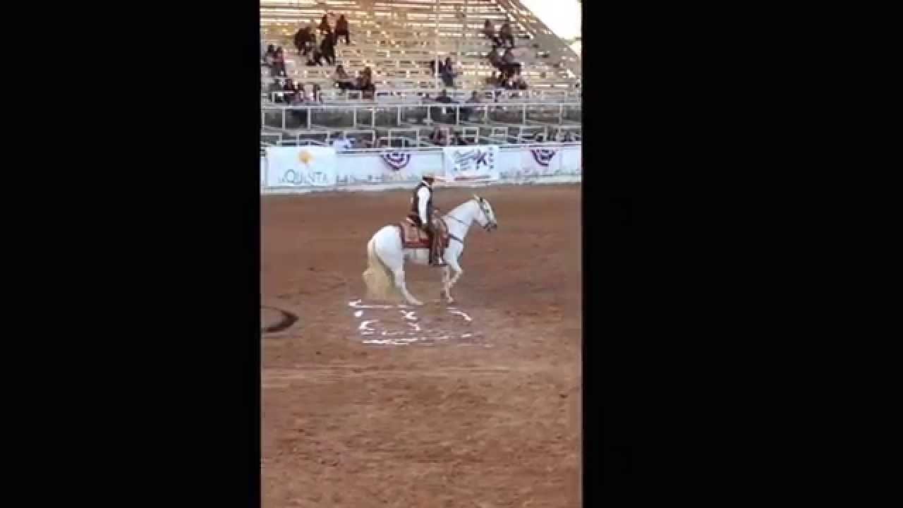 Toro Diablo Bullriding Pecos Texas 2014 - Charro Jerry Diaz - YouTube