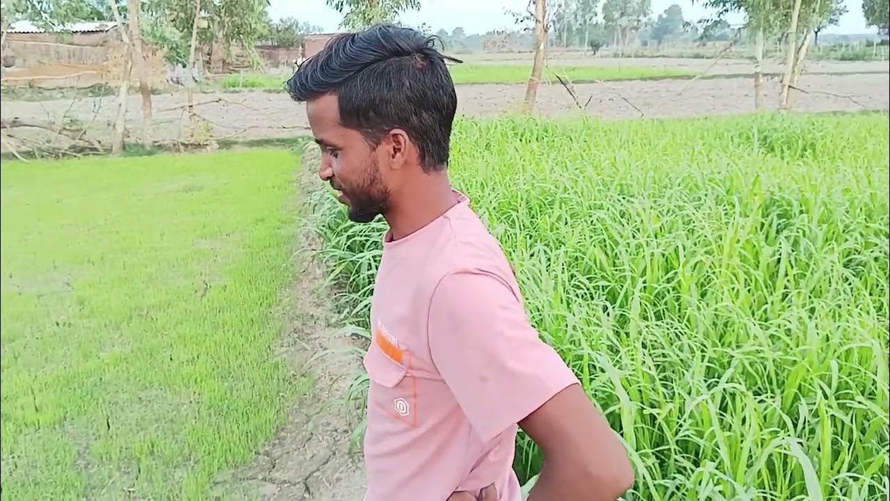 aaj ham apne khet me pani lagane gye the - YouTube
