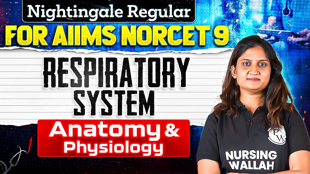 Anatomy And Physiology Of Respiratory System | AIIMS NORCET 9 ...