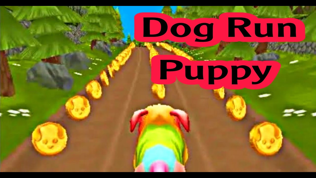 Dog Run game 🐕Dog Run Puppy Racing AndroidGameplay New Dog Run game Dog ...