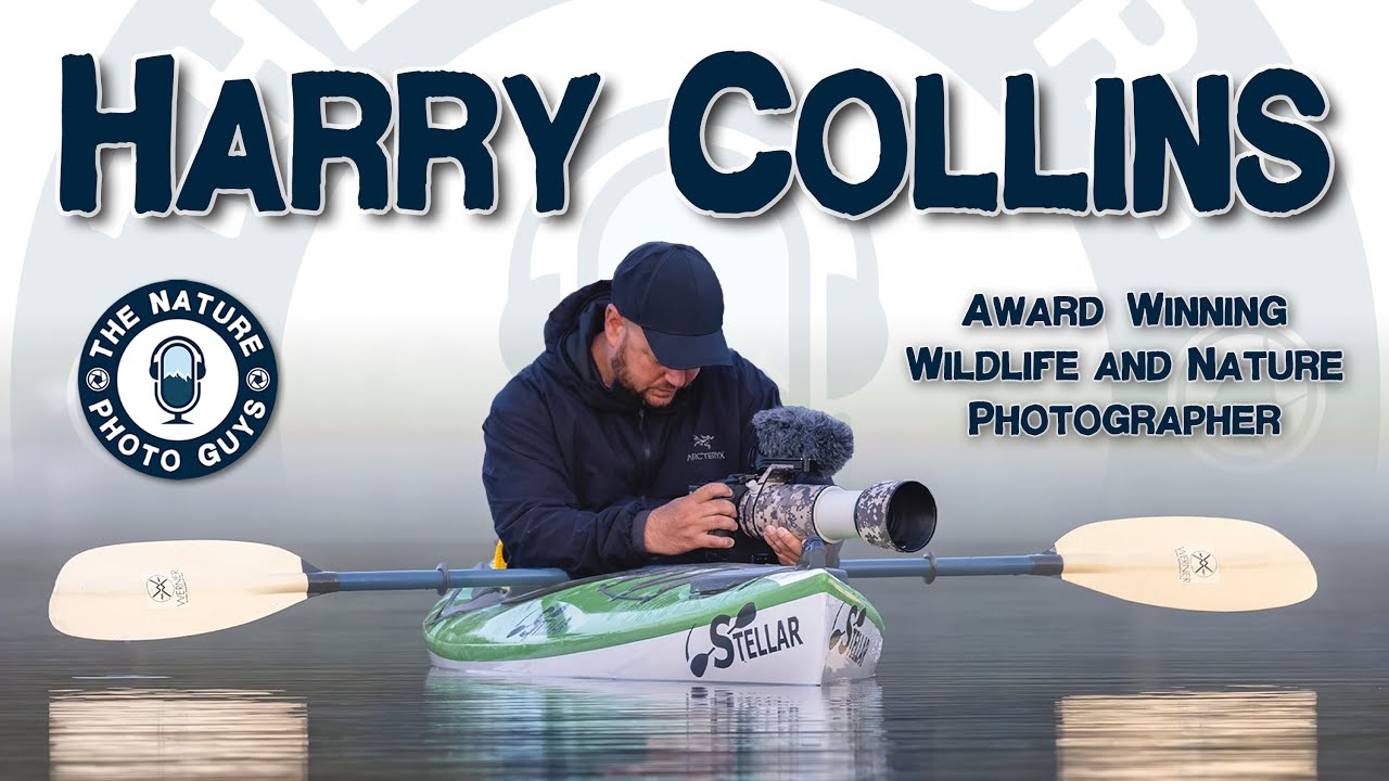 Harry Collins: Wildlife Photographer & Videographer # ...