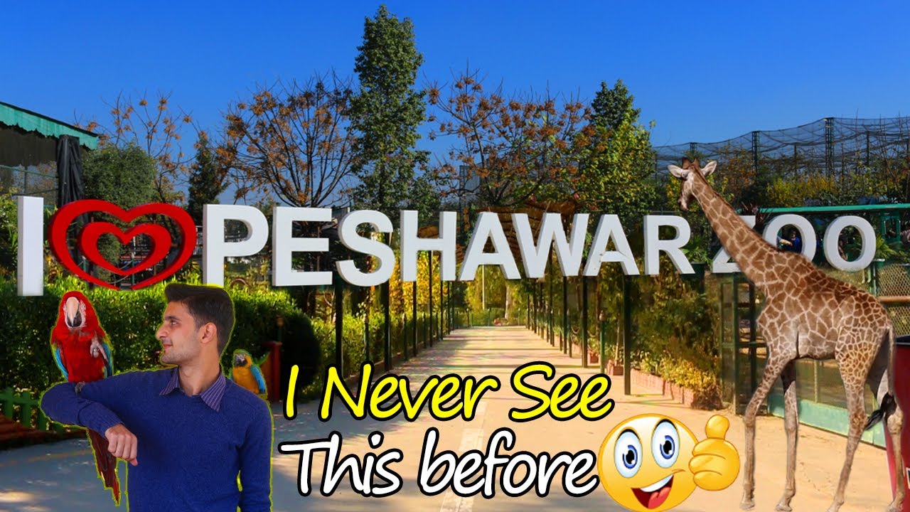 First time Visit To Peshawar zoo | Wild Animal in peshawar zoo | I Can ...