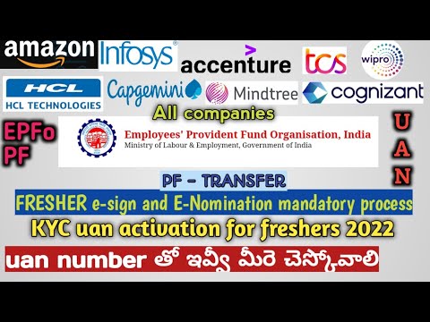 esign kyc EPFO PF for freshers ACTIVATE UAN Process COGNIZANT HCL TCS ...