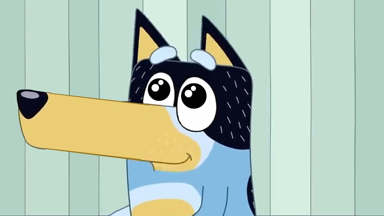 Bandit Becomes the Long-Nosed Dog Meme!! - YouTube