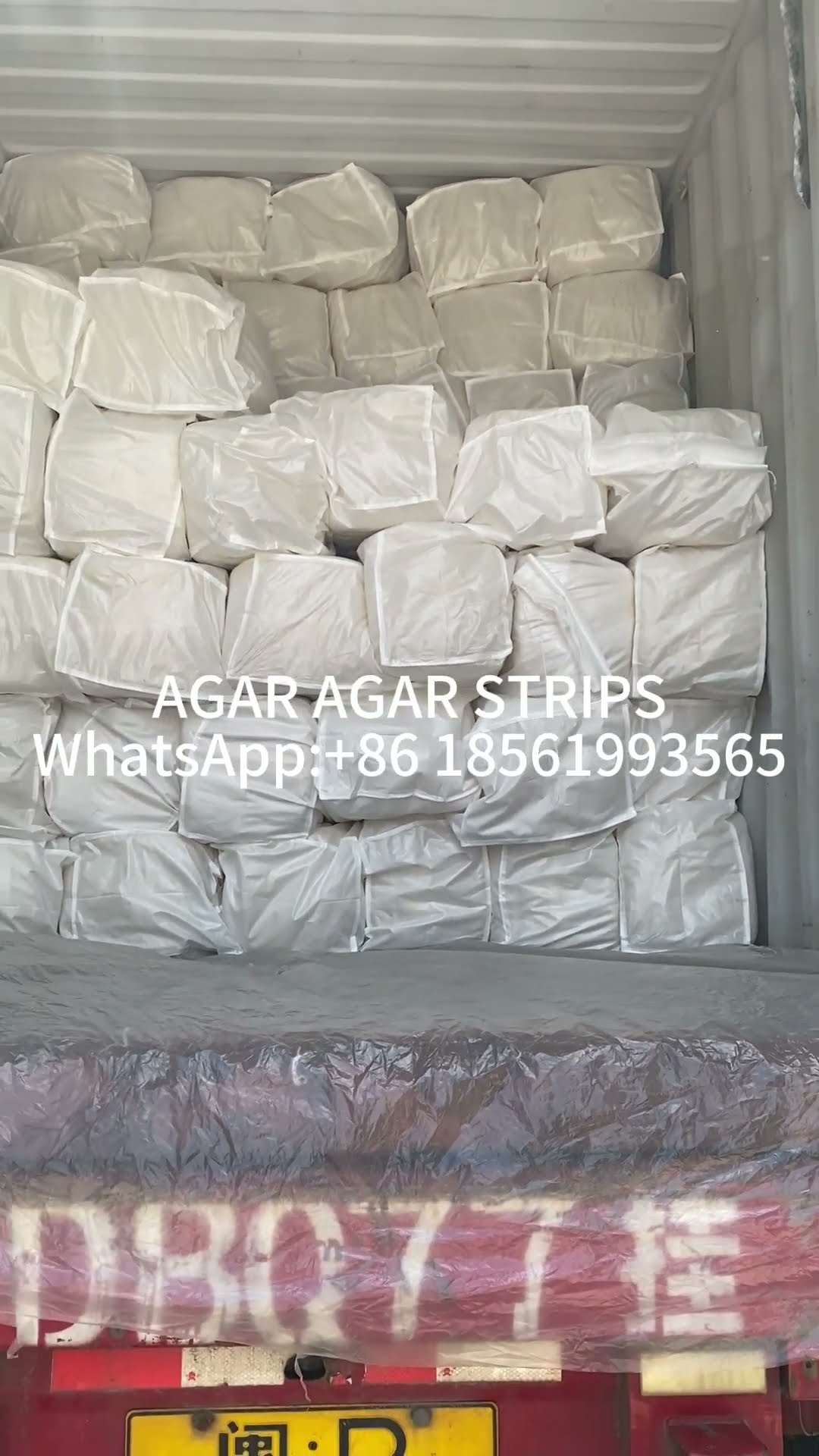 AGAR AGAR #AGAR AGAR STRIPS #AGAR AGAR POWDER - YouTube