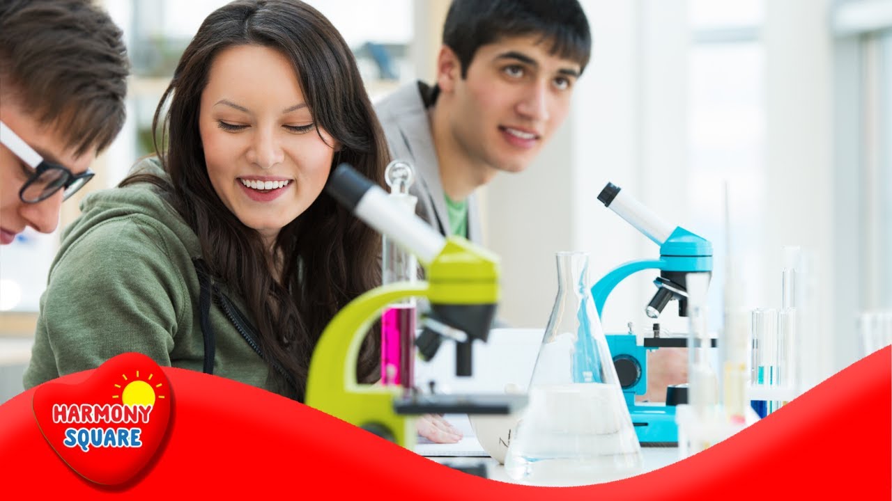 Making Observations - More Science on the Learning Videos Channel - YouTube