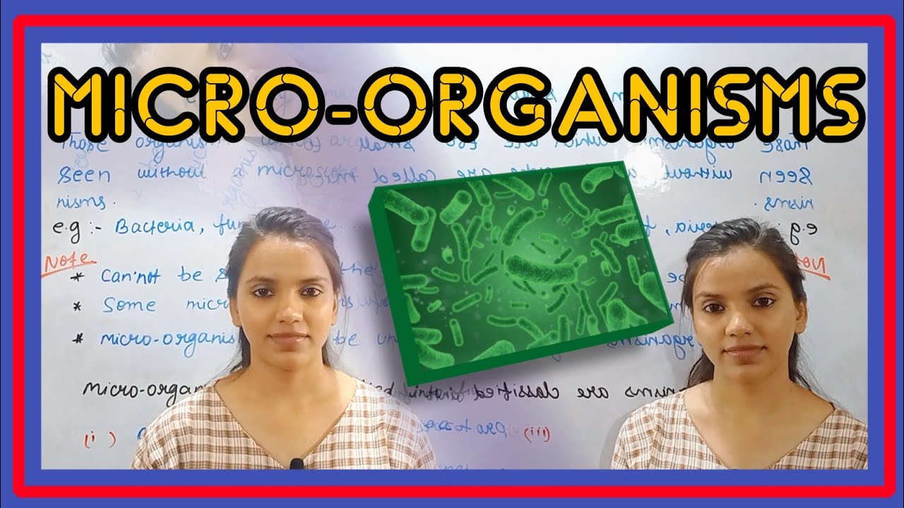 MICRO-ORGANISMS || Introduction | What is microorganisms ...