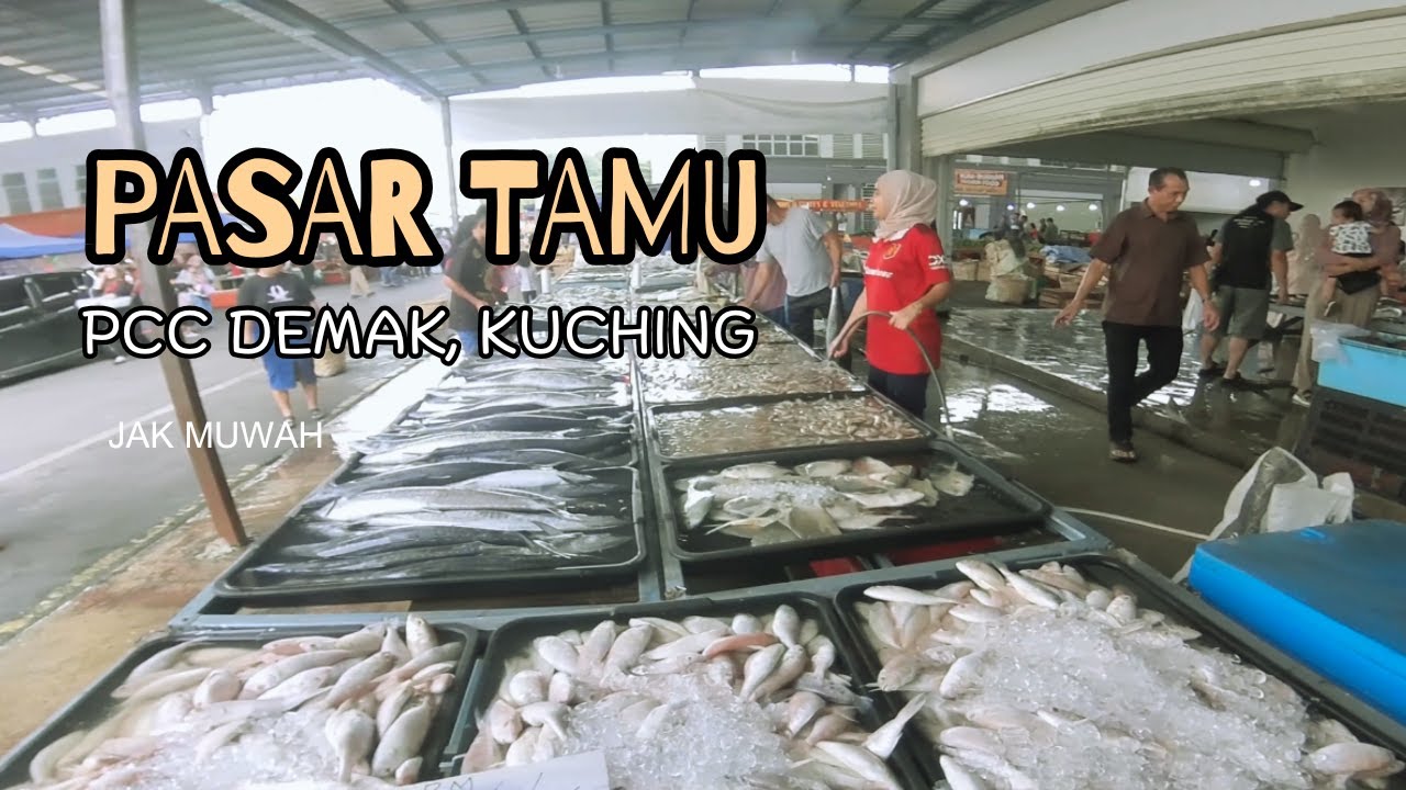 Beli Ikan Murah di Pasar PCC Demak, Kuching - YouTube