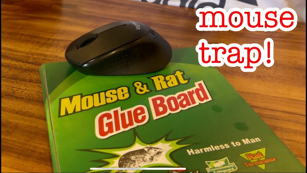 Its a Logitech Mouse Trap | How to Spot a Fake Logitech Mouse - YouTube