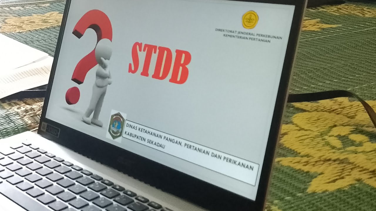 Sosialisasi ‼️ Surat Tanda Daftar Budidaya STDB Kelapa Sawit || Sekadau ...