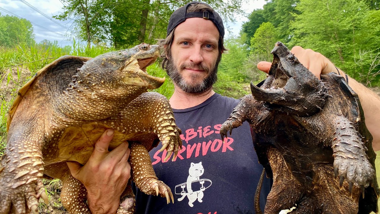 Alligator Snapping Turtles AND Common Snapper in the SAME TRAP!! 🤯 ...
