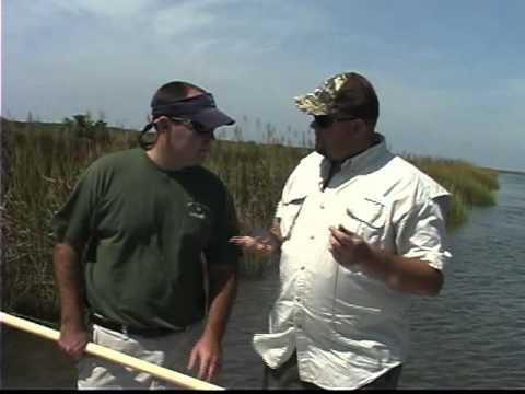Jay Gregg hunts Gators with Stacy Atkinson in the Low Country 2009 ...