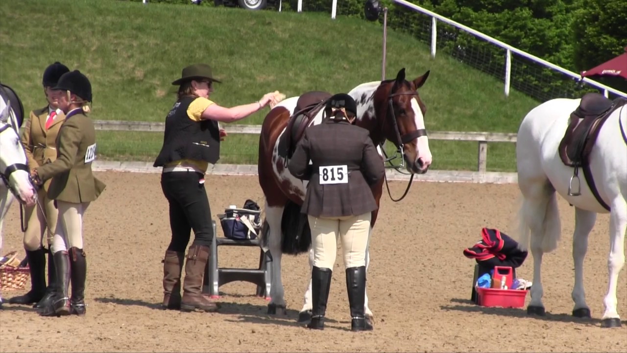 Behind the scenes at Royal Windsor – Star of the Show | Horse&Rider ...