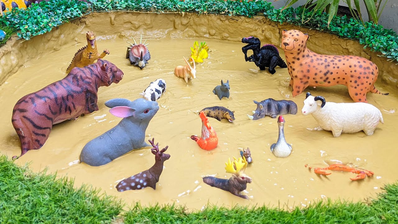 Big African Animals Cheetah Tiger Cute Farm Animals Sheep Rabbit Cow ...