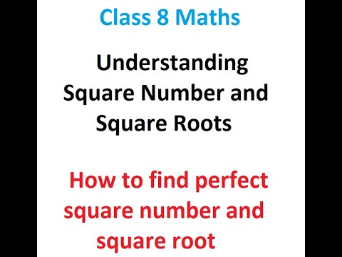 square root and perfect square class 8 competitive exam questions and ...