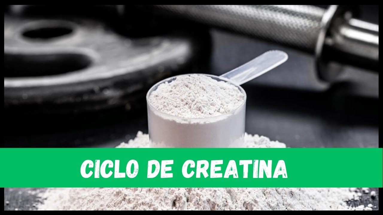 Ciclo de Creatina | Leandro Twin - YouTube