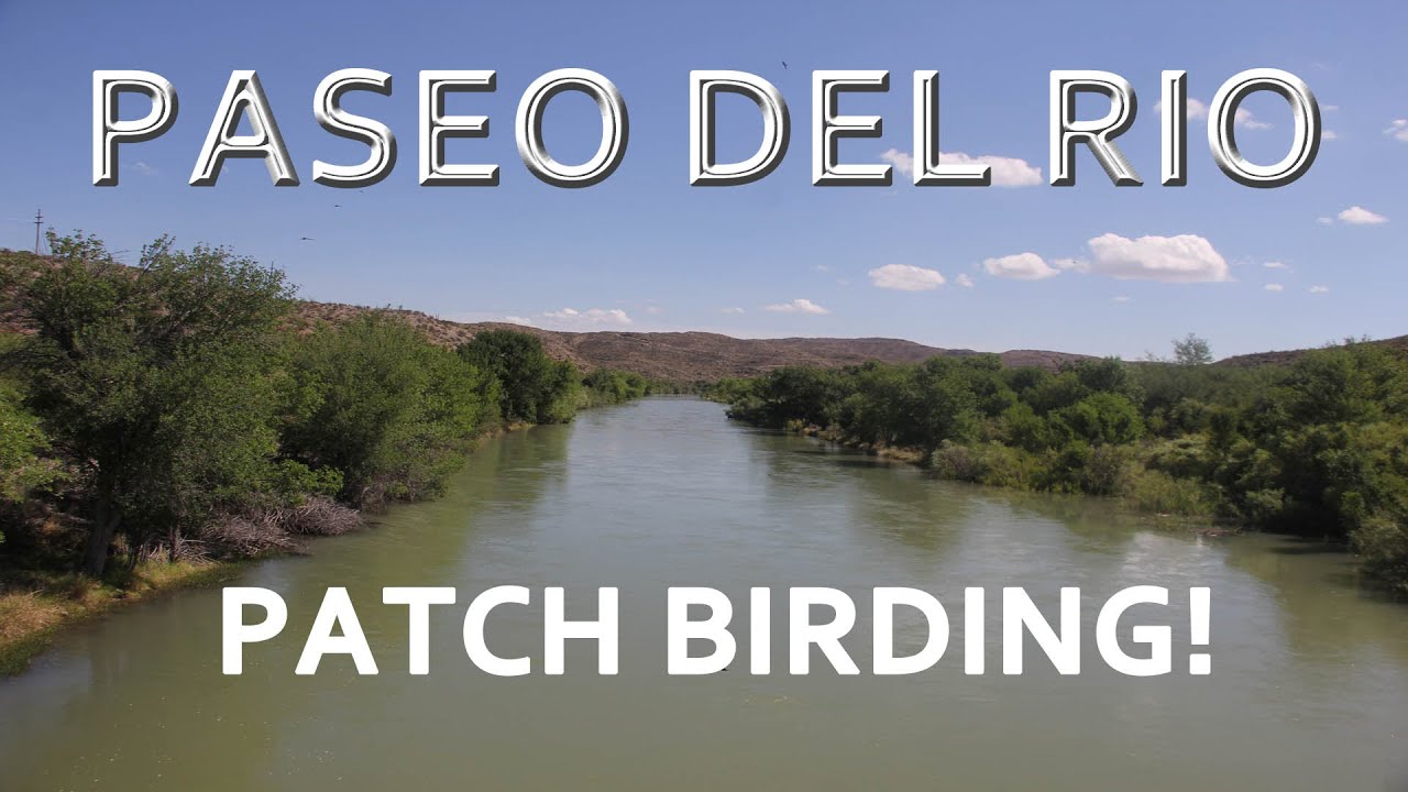 Paseo del Rio, New Mexico: Our local patch! - YouTube