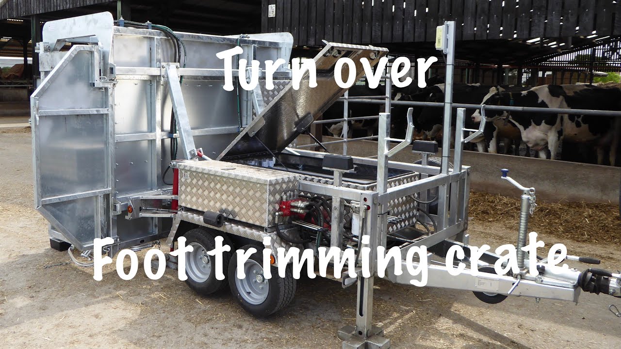 FMC Hoof chute hydraulic remote control turn over cattle foot trimming crush - YouTube